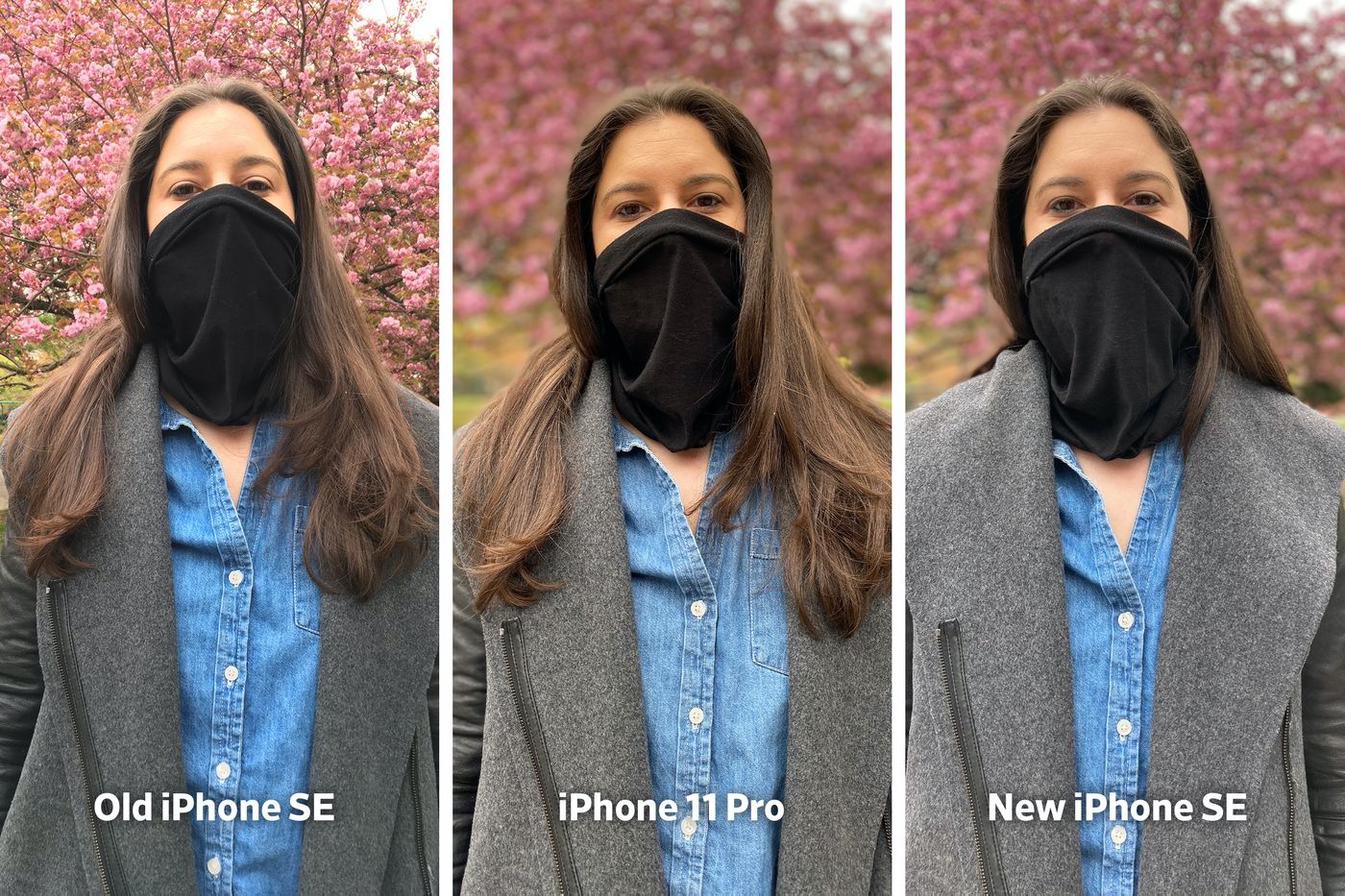 Tests de l'iPhone SE 2020 : bonnes performances pour un bon prix ...