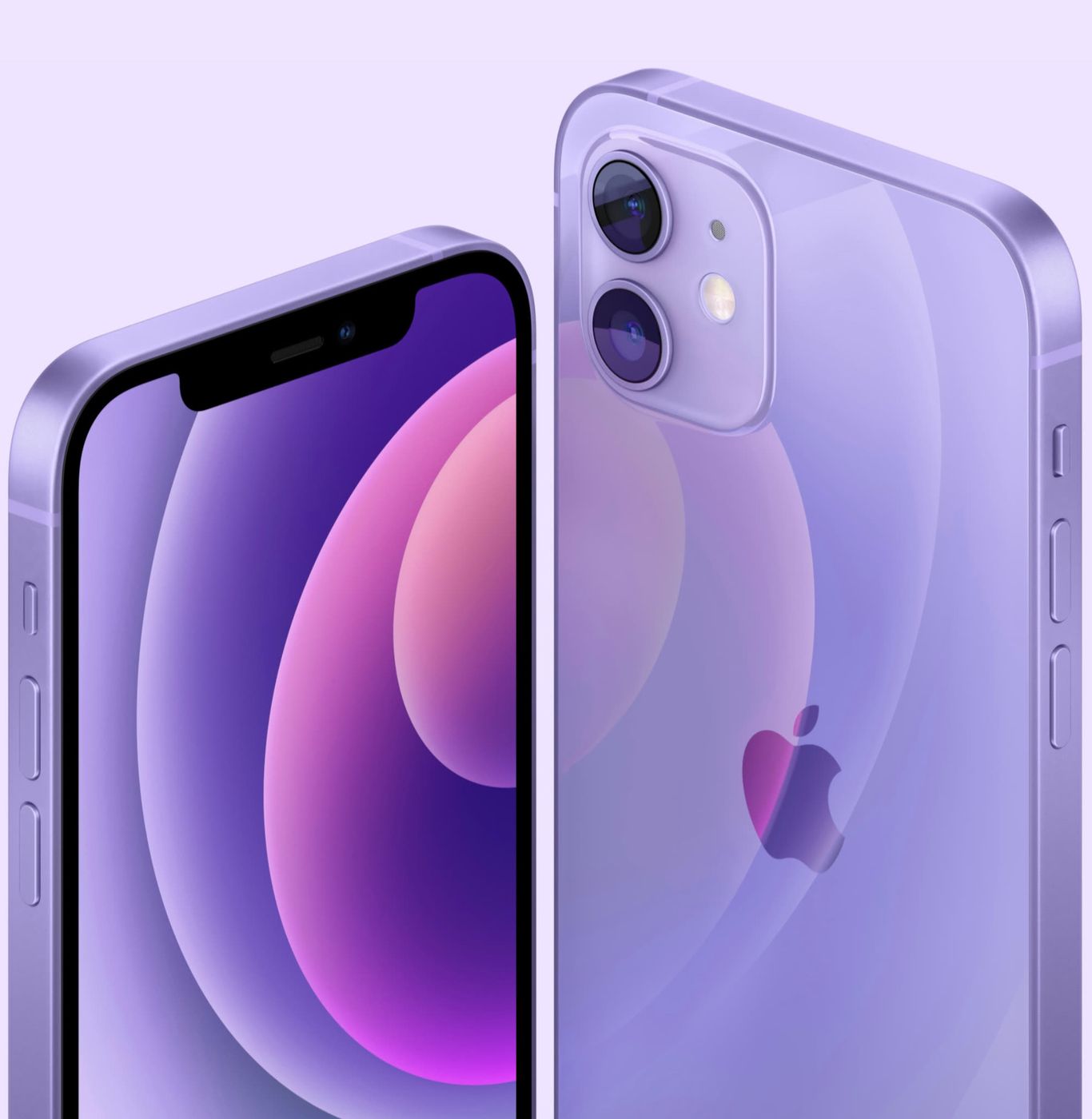 Purple Rain : l'iPhone 12 gagne un coloris violet - iPhoneAddict.fr