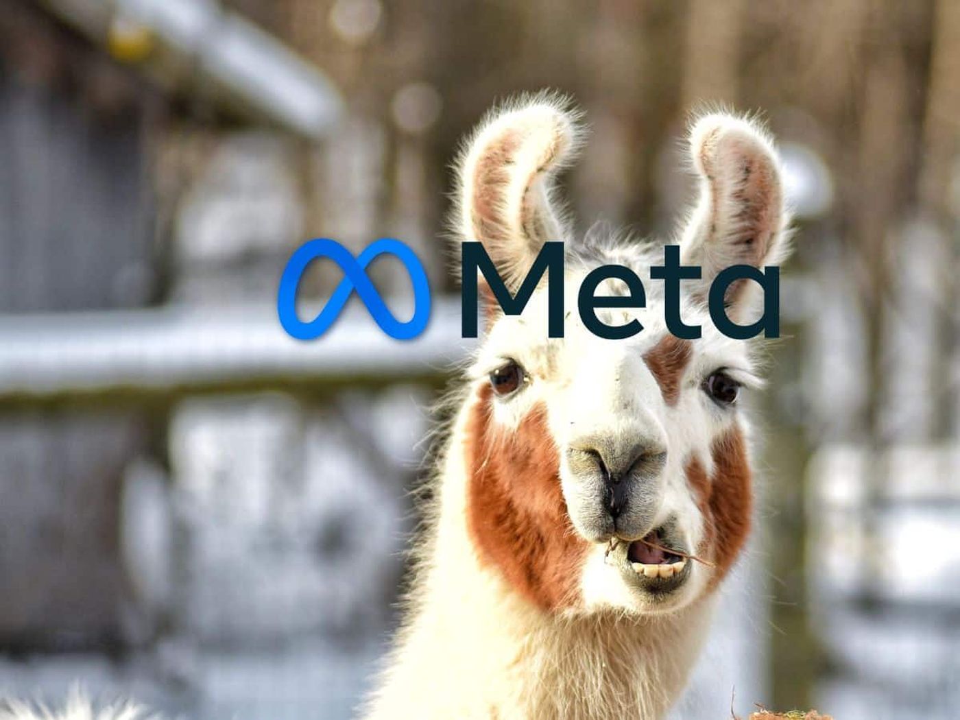 L'app Poe permet désormais d'accéder à Llama 2, l'IA de Meta (mise à ...